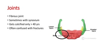 ANATOMY OF THE Hyoid bone | PDF