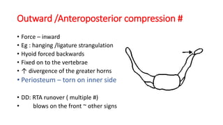 ANATOMY OF THE Hyoid bone | PDF
