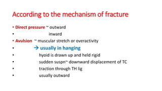 ANATOMY OF THE Hyoid bone | PDF