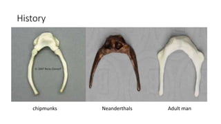ANATOMY OF THE Hyoid bone | PDF