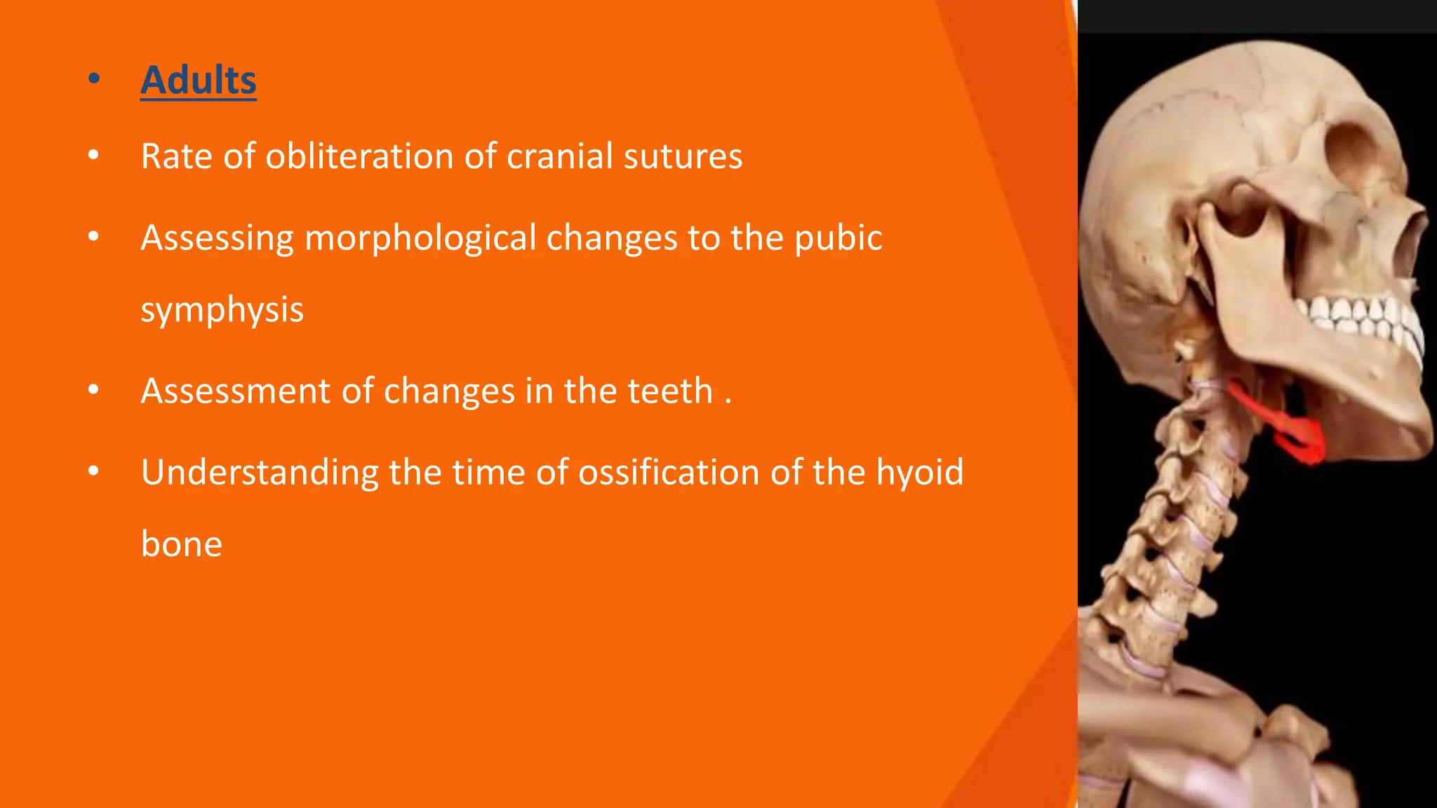 Hyoid bone journal | PPTX