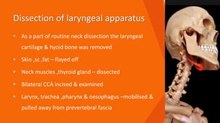 Hyoid bone journal | PPTX