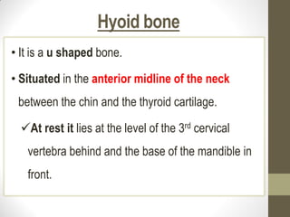 Hyoid bone by asif | PDF