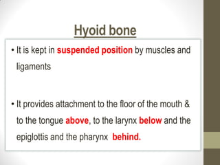 Hyoid bone by asif | PPT