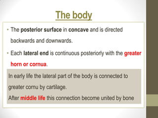 Hyoid bone by asif | PPT