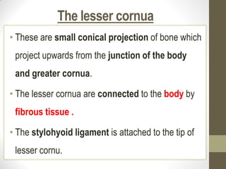 Hyoid bone by asif | PPT