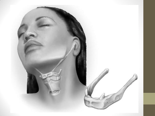 Hyoid bone by asif | PPT