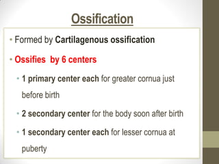 Hyoid bone by asif | PPT