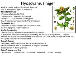 Hyoscyamus niger | PPTX