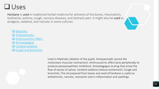 Hyoscymus ( Alkaloid containing Drug) | PPTX