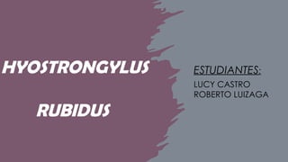 Hyostrongylus rubidus parásitos en animales | PPTX
