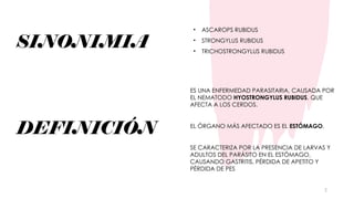 Hyostrongylus rubidus parásitos en animales | PPTX
