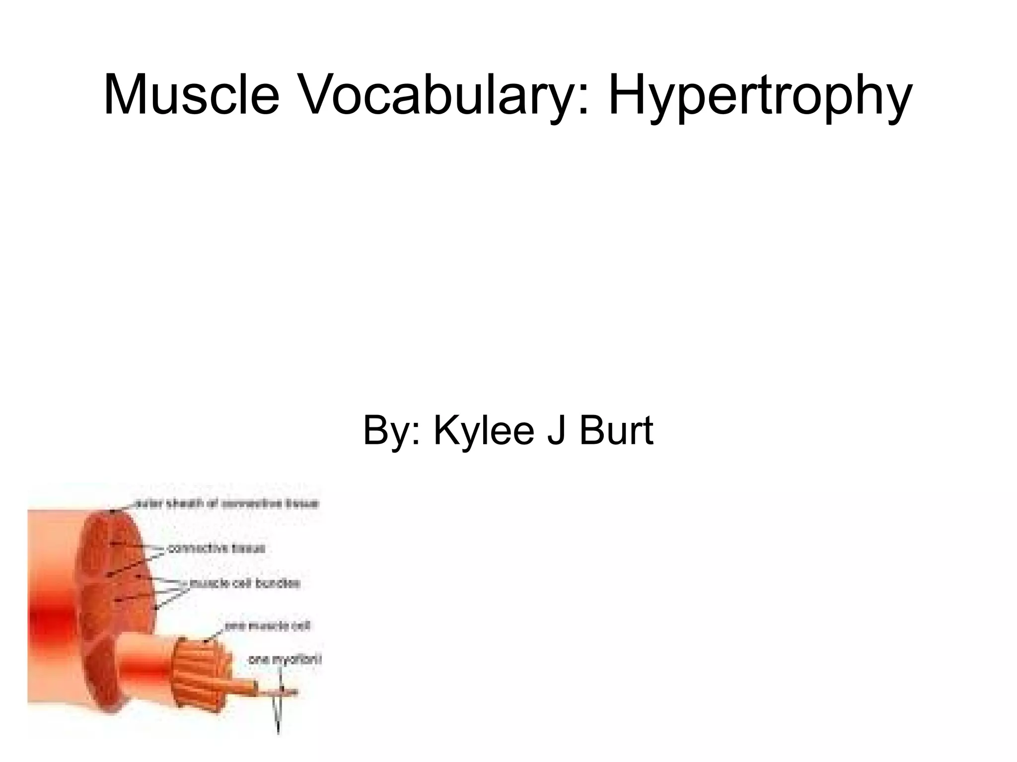 Muscle Hypertrophy | ODP