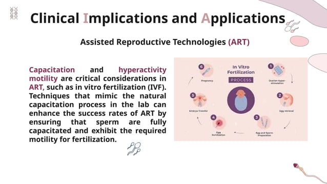 Hyper activity motility during capacitation.pptx