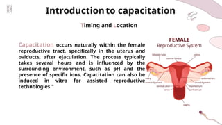 Hyper activity motility during capacitation.pptx