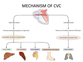 HYPERAEMIA congrstion haemoorhage cvc spleen | PPT