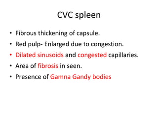 HYPERAEMIA congrstion haemoorhage cvc spleen | PPT