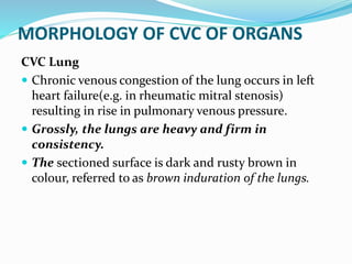 HYPERAEMIA & CONGESTION | PPTX