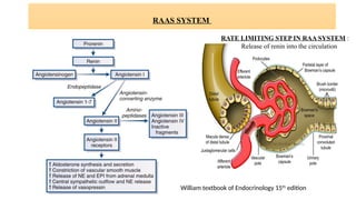 Comprehensive Overview of Hyperaldosteronism: Diagnosis and Management ...