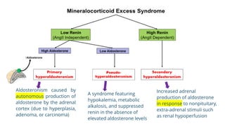 Hyperaldosteronism | PDF