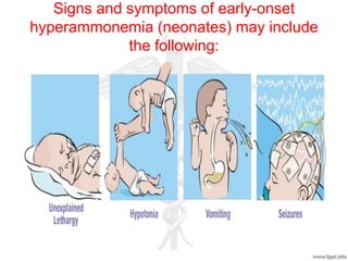 Hyperamonimea | PPTX