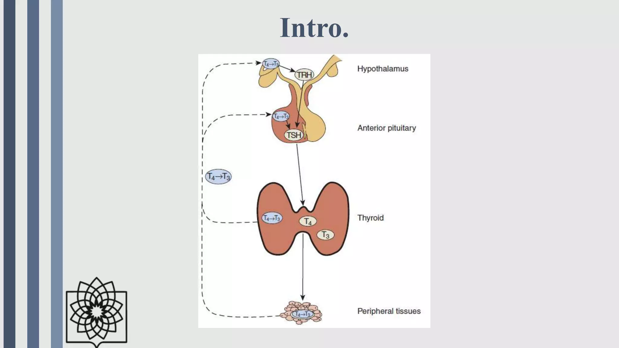 Hyperthyroidism and Hypothyroidism ( thyroid diseases) management in ...