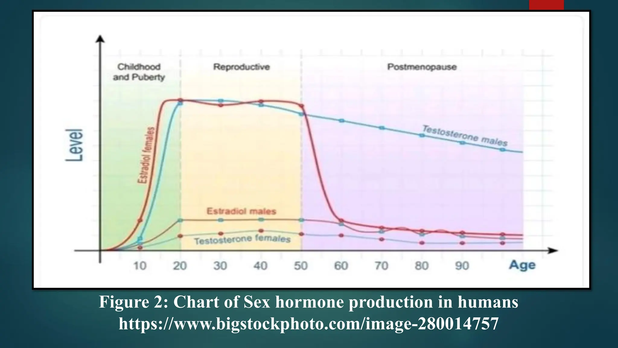 HYPER AND HYPO-ESTROGEN ACTIVITY DRIVEN-PATHOLOGIES ppt.pdf