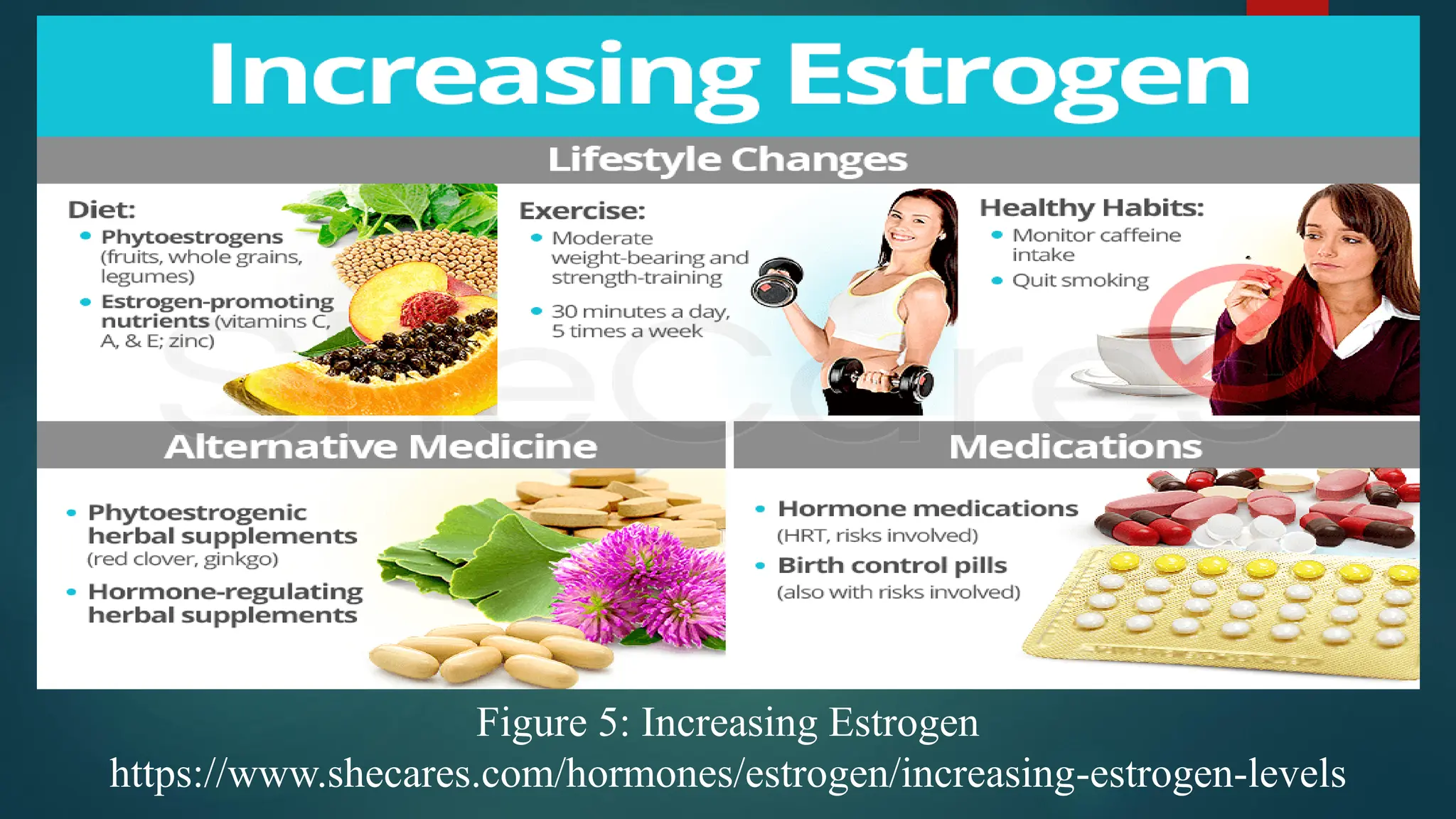 HYPER AND HYPO-ESTROGEN ACTIVITY DRIVEN-PATHOLOGIES ppt.pdf