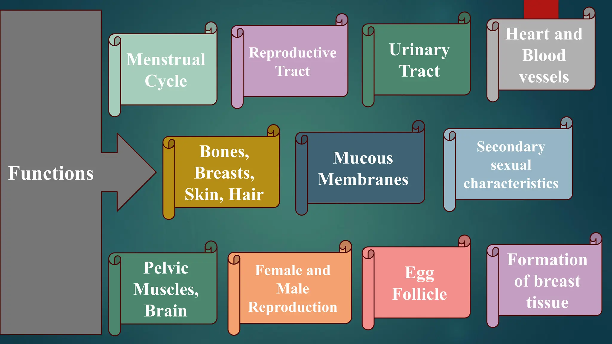 HYPER AND HYPO-ESTROGEN ACTIVITY DRIVEN-PATHOLOGIES ppt.pdf