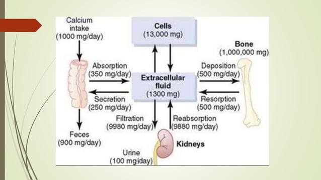 HYPER AND HYPOCALCEMIA.pptx