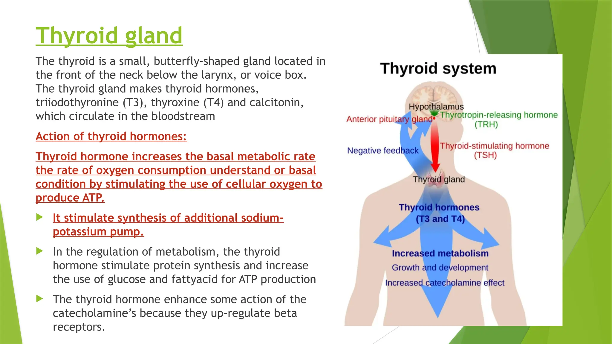 Hyper and hypothyroidism Presentation of Medicine Medical | PPTX
