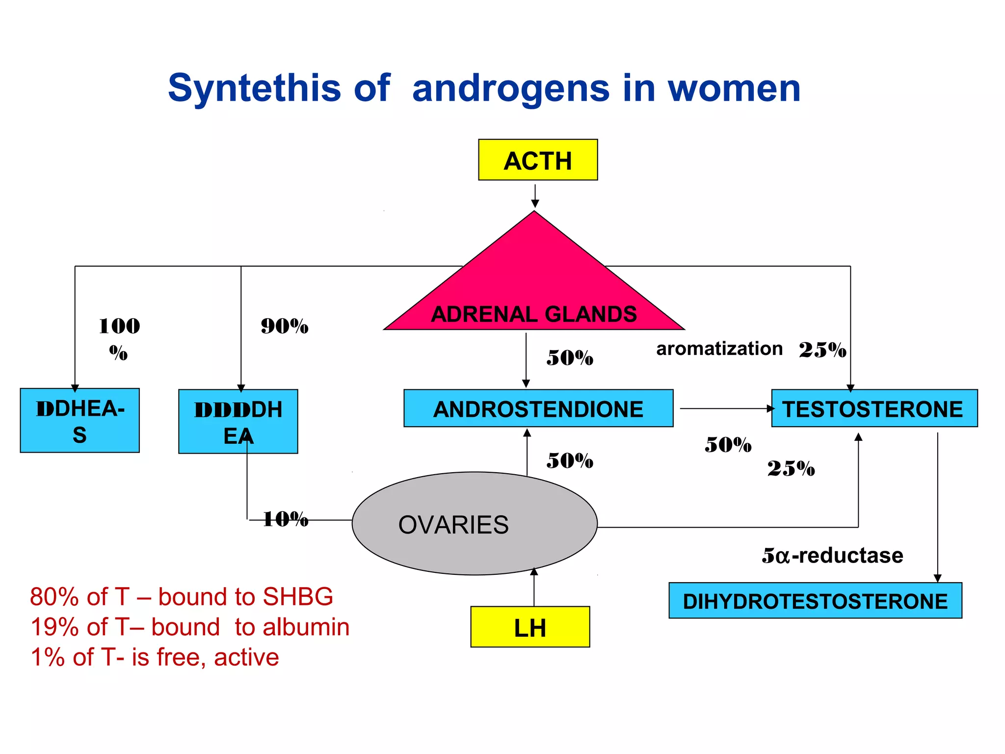 Hyperandrogenism | PPT