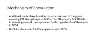 Hyperandrogenism & hyperinsulinemia in PCOS | PPTX