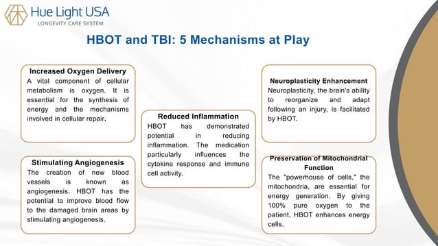 Hyperbaric Oxygen Therapy for Brain Injury: Understanding HBOT in ...