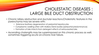 Hyperbilirubinemia | PPTX