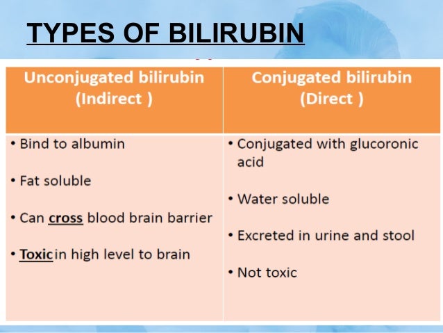 Hyperbilirubinemia Differential Diagnosis Medical