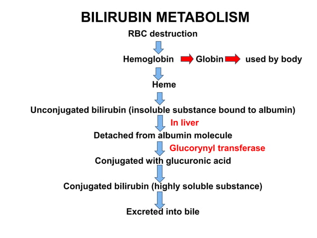 unit 3 nursing care of a neonate Hyperbilirubinemia neonate.ppt | Pregnancy | Reproductive Health