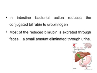Child Health Nursing I Unit 3 hyperbilirubinemia.ppt