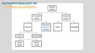 HyperbilirubinemiaHyperbilirubinemiaHyperbilirubinemia | PDF