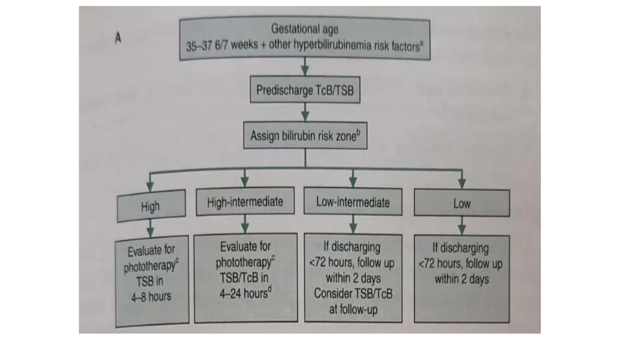 Neonatal Hyperbilirubinemia Pediatric Nursing Ppt
