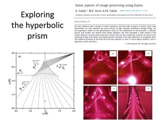 Hyperbolic prisms, poincaré disk, and foams | PPT