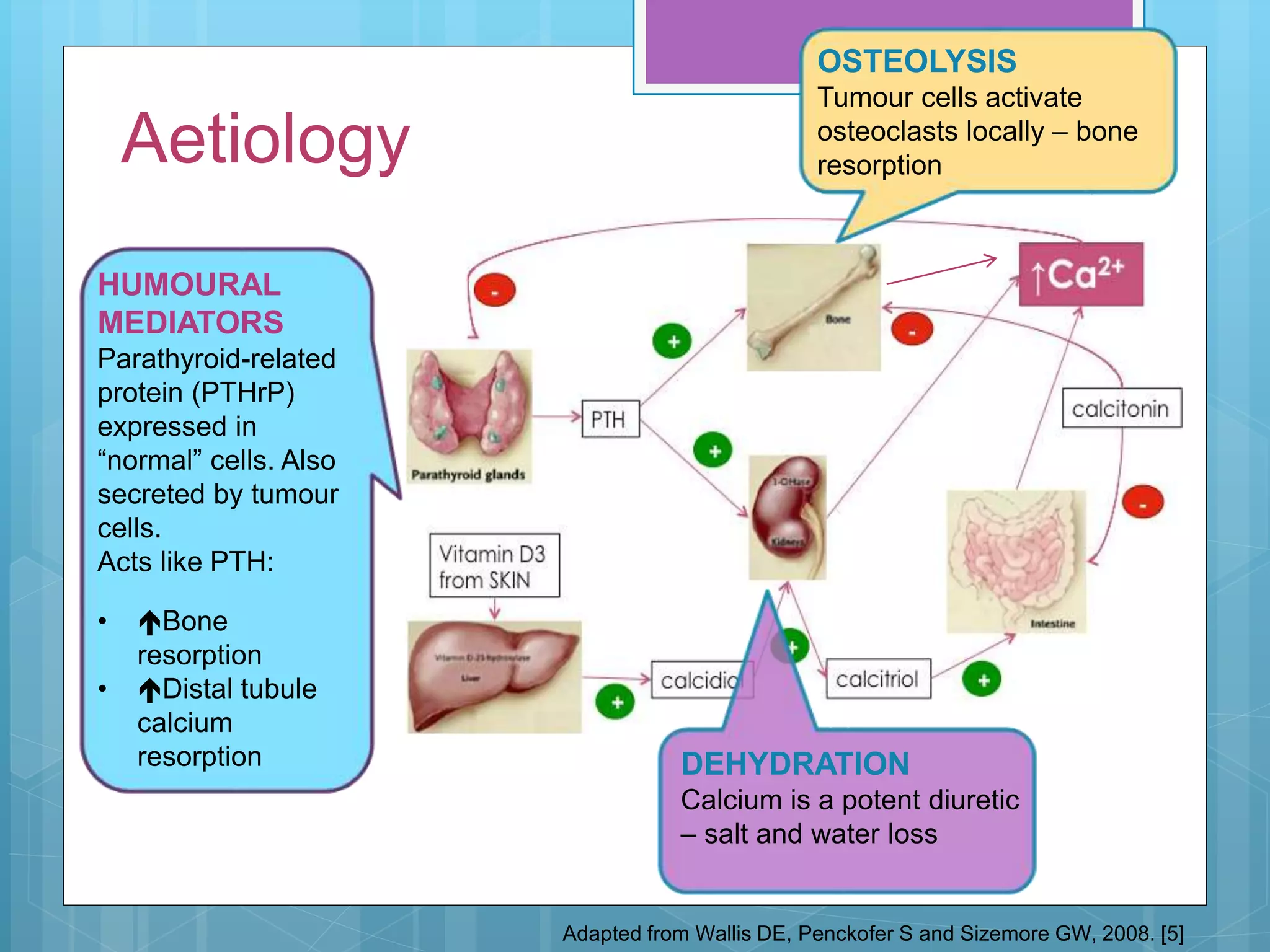 Hypercalcaemia in Malignancy | PPTX