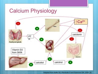Hypercalcaemia in Malignancy | PPTX