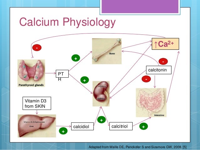 Hypercalcaemia in Malignancy