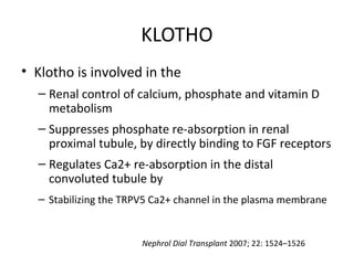 Hypercalcemia | PPT