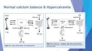 Hypercalcemia | PPT