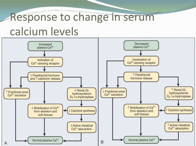 Hypercalcemia ppt.pptx