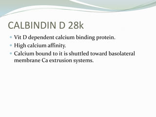 Hypercalcemia ppt.pdf