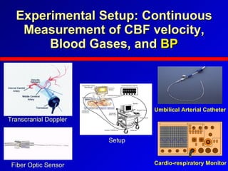 Hypercapnia On Cerebral Autoregulation | PPT
