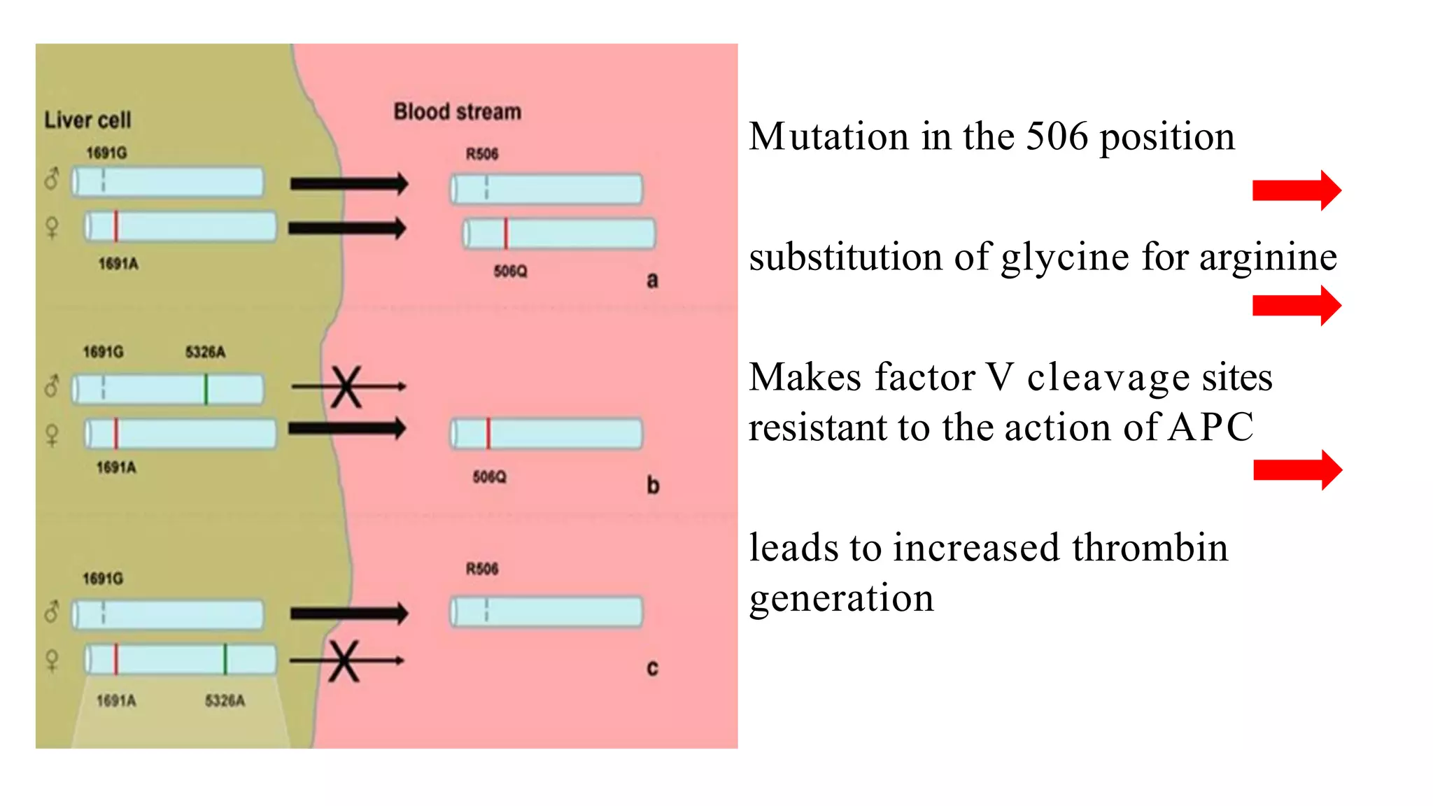 Hypercoagulable state.pptx